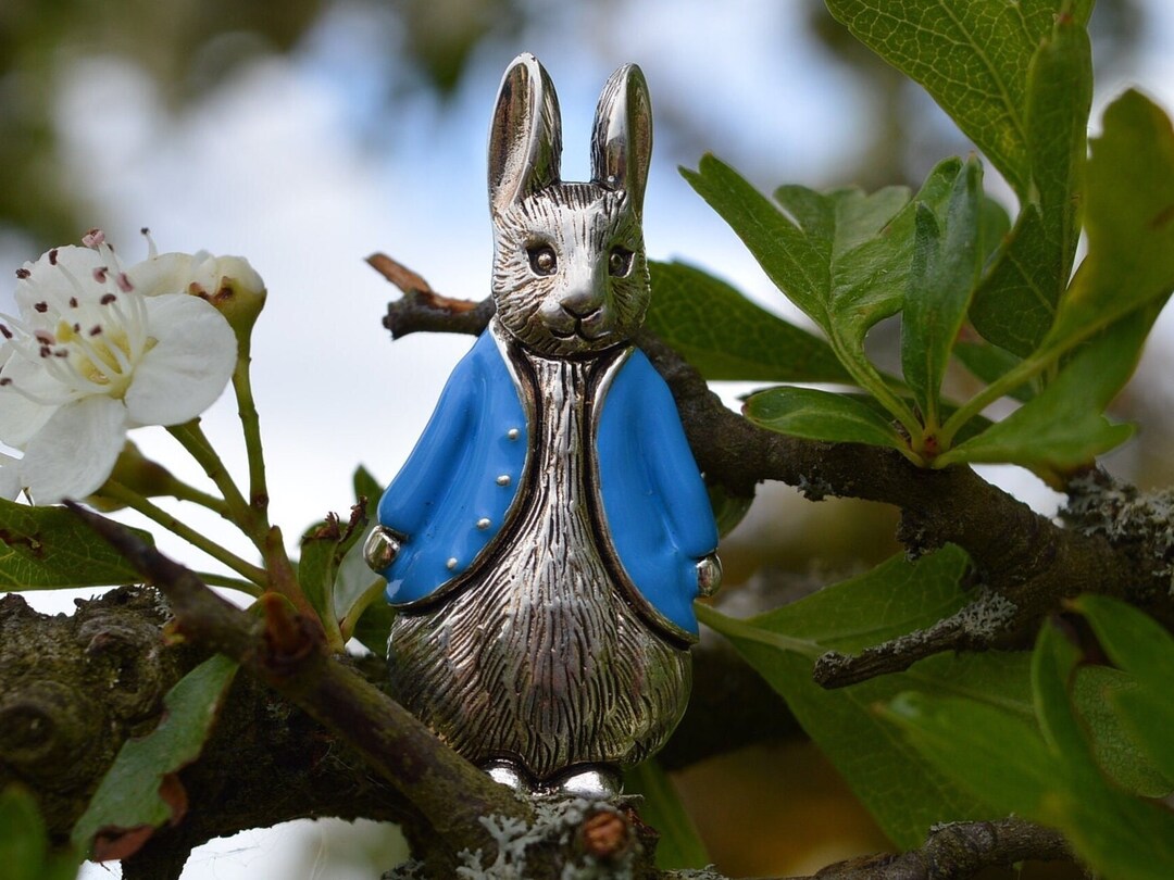 PETER RABBIT Brooch/pin *peter Rabbit* Sterling Silver * Jewellery Gift ...