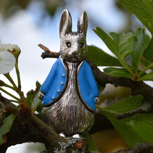 Peter Rabbit Jewelry - Etsy