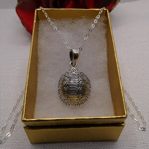 Tortoise Locket Necklace Ruby Eyes on 18” Chain Silver - Jewellery Gift ...