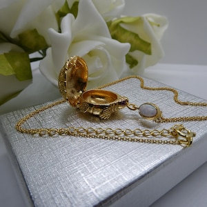 Tortoise Locket Necklace Ruby Eyes Silver 18ct Gold Plated - 18” Chain ...