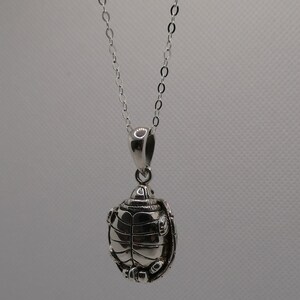 Tortoise Locket Necklace Ruby Eyes on 18” Chain Silver - Jewellery Gift ...
