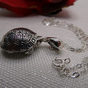 Tortoise Locket Necklace Ruby Eyes on 18” Chain Silver - Jewellery Gift ...