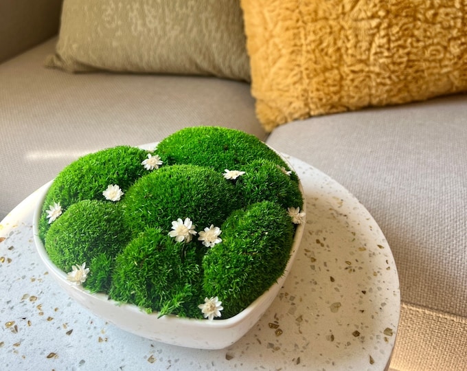 Moss Centerpiece | Pole Moss | Moss Planter | Preserved Moss Gift ...