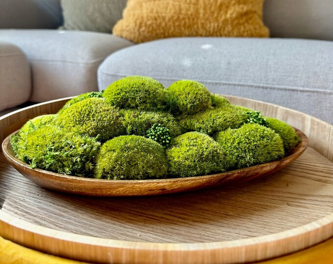 Moss Centerpiece | Pole Moss | Moss Planter | Preserved Moss Gift ...