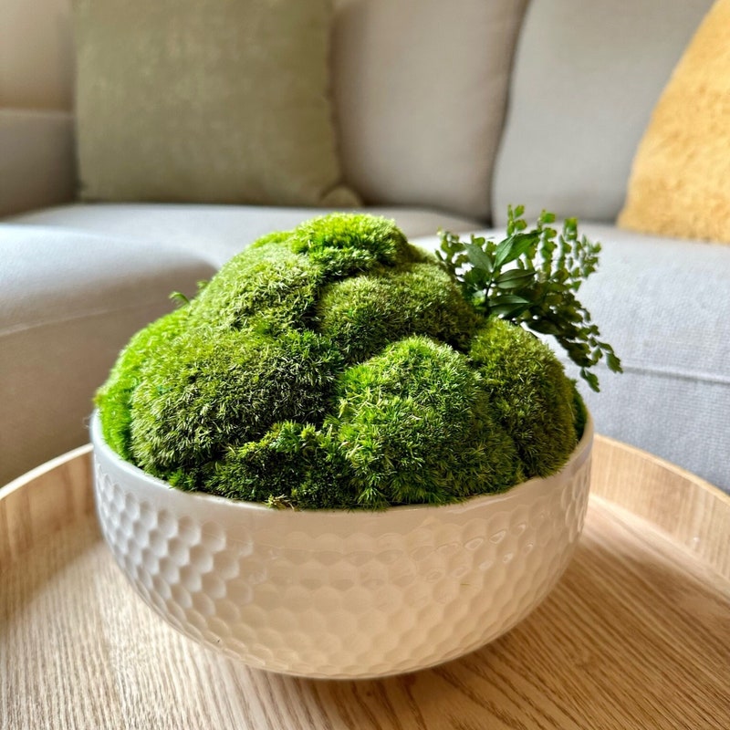 Moss Table Decor - Etsy