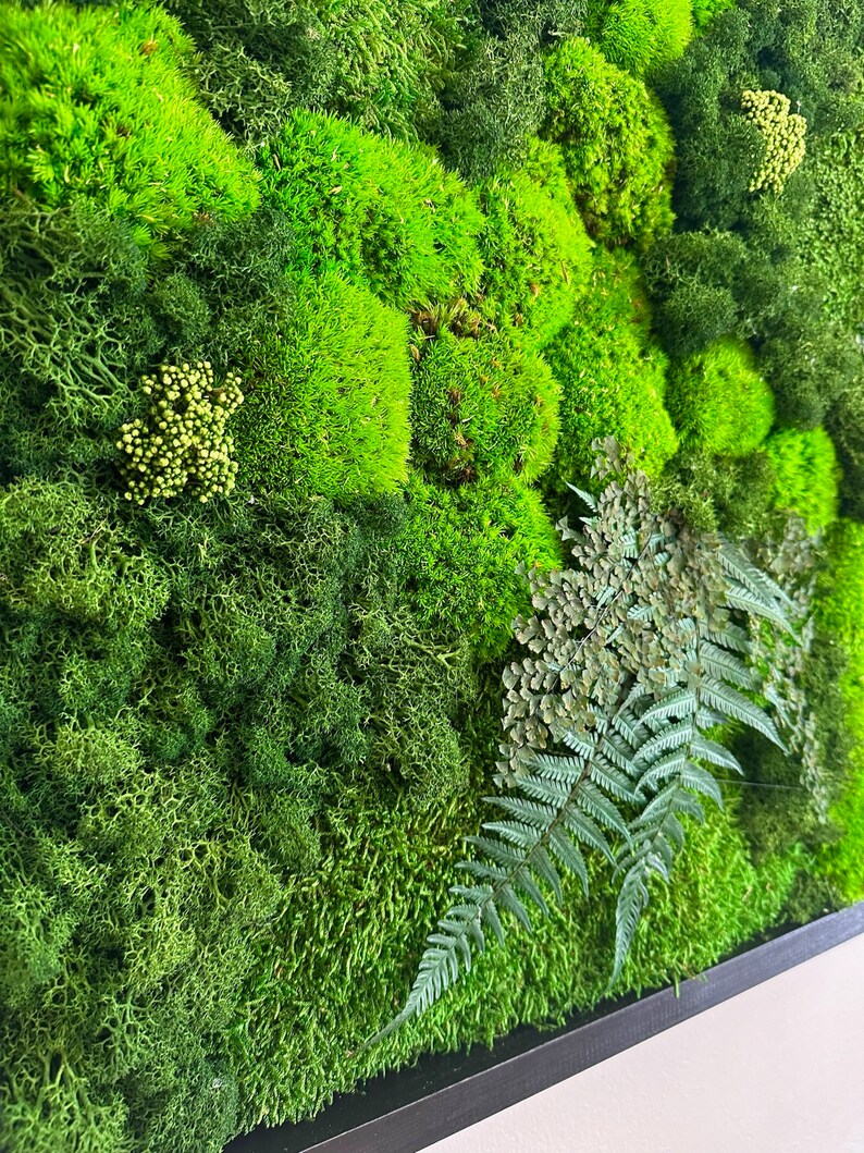 Preserved Moss Wall Art: Reindeer & Sheet Moss, Wood Frame | USA ...