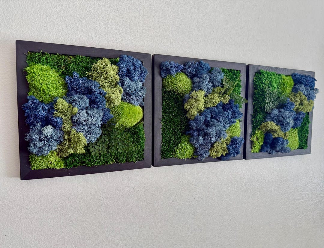 Preserved Moss Wall Art: Wood Frame, Reindeer Moss Decor | USA - TARIFF ...