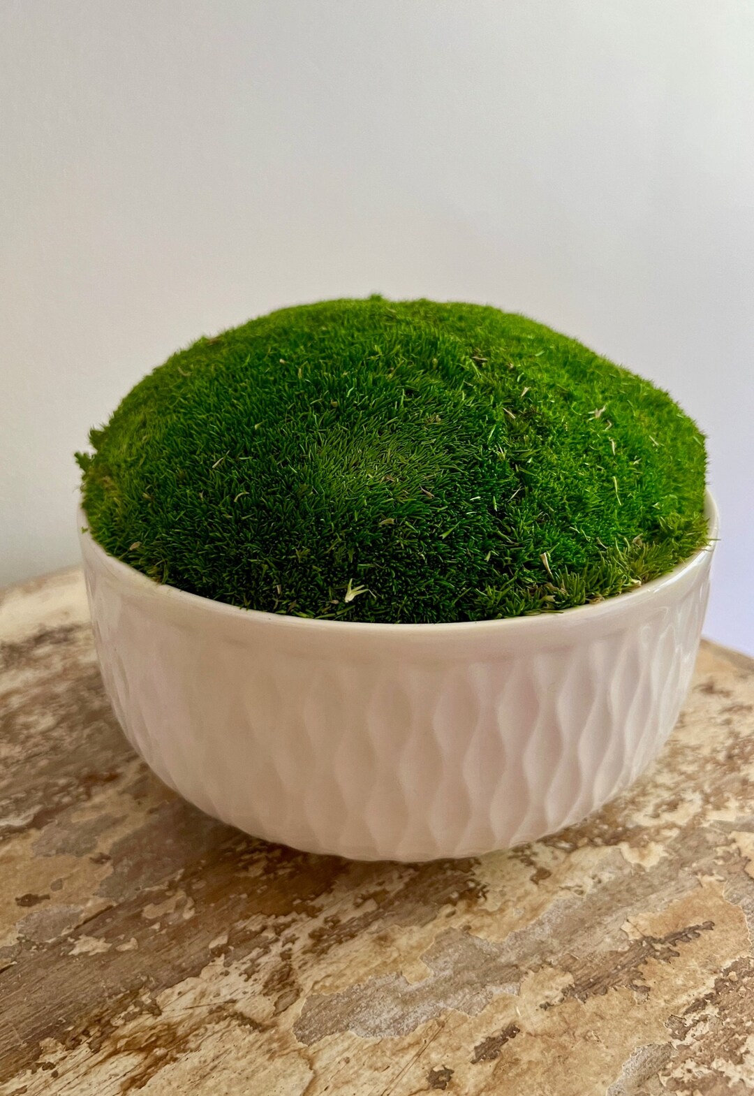 Moss Bowl Centrepiece Pole Moss Bowl Moss Preserved Moss - Etsy