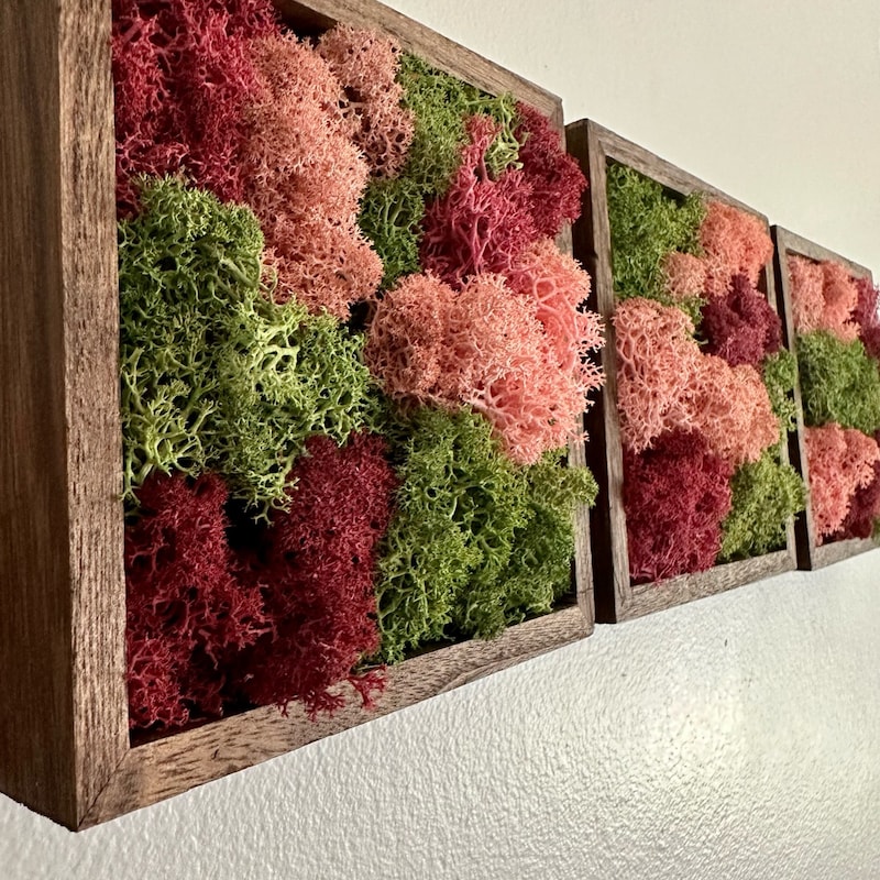 Pink Moss Name - Etsy UK