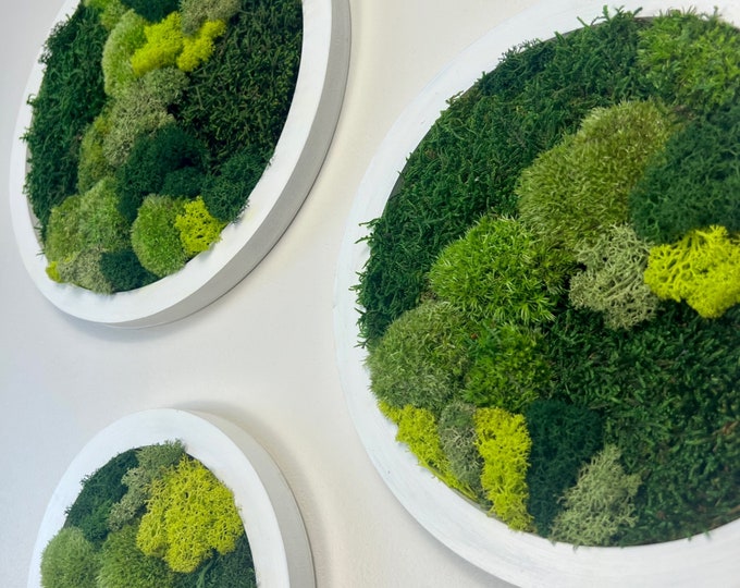 Moss Mirror - Etsy