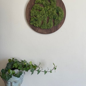 Moss Wall Art | Monstera Plant Round Wood Frame | Medium Green Reindeer ...