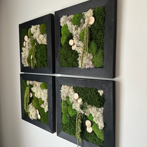 Preserved Moss Wall Art: Square Frame With Reindeer Moss & Fern | USA ...