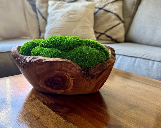 Moss Centerpiece | Pole Moss | Moss Planter | Preserved Moss Gift ...