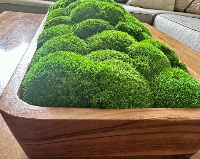 Moss Centerpiece Large | Pole Moss | Moss Planter | Preserved Moss Gift ...