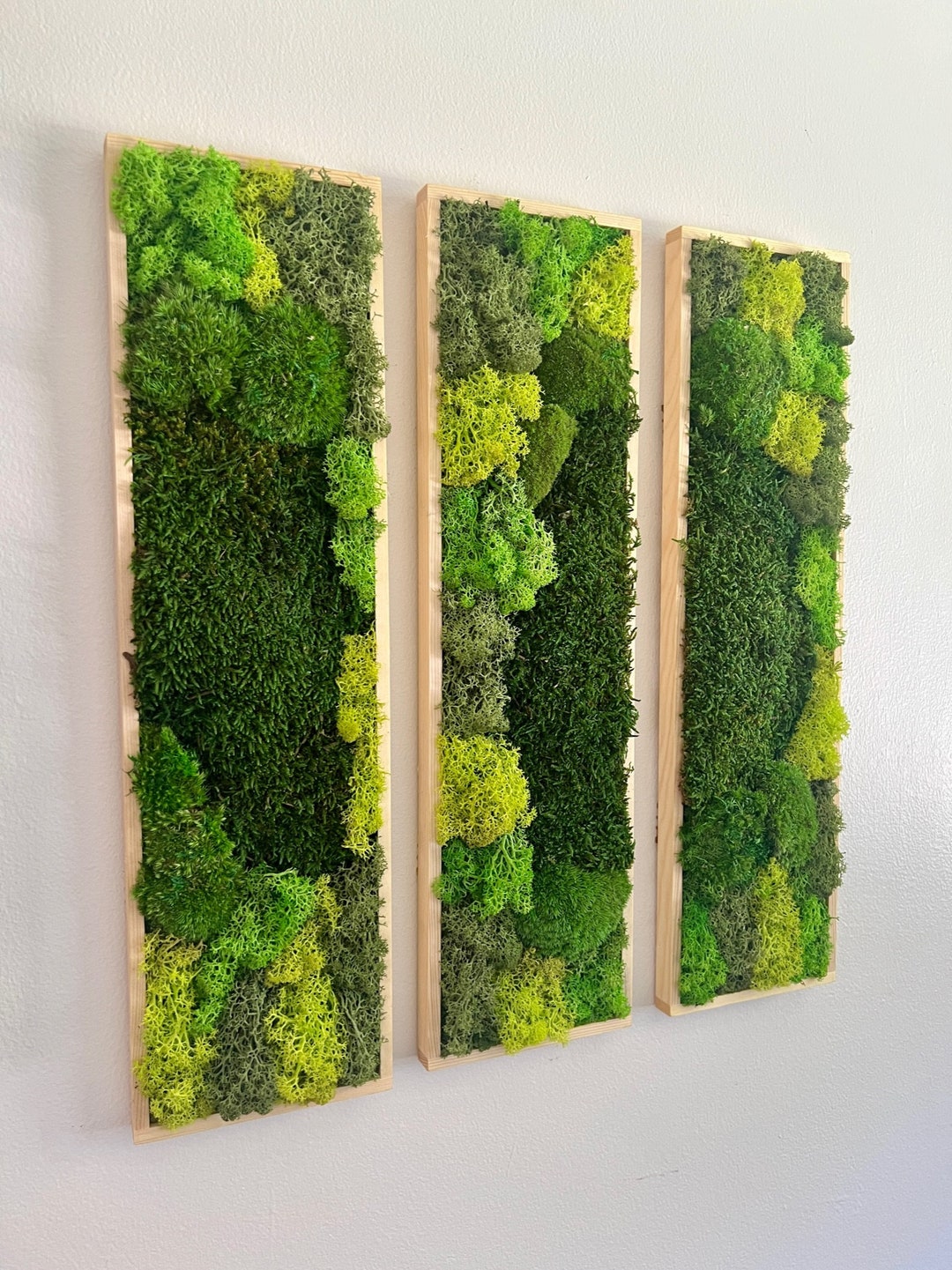 Moss Wall Art | Preserved Moss Art Framed | Moss Wall Decor | Moss Wall ...