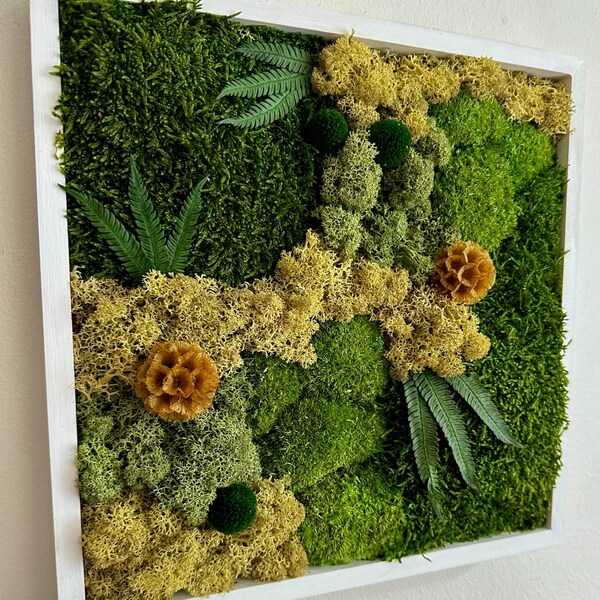 Moss Frame - Etsy