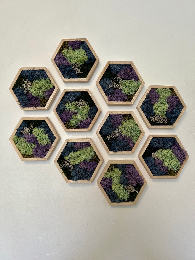 Moss Wall Art Honeycomb | Four Sizes, 5 X 6", 8 X 9", 10 X 11 1/2" or ...