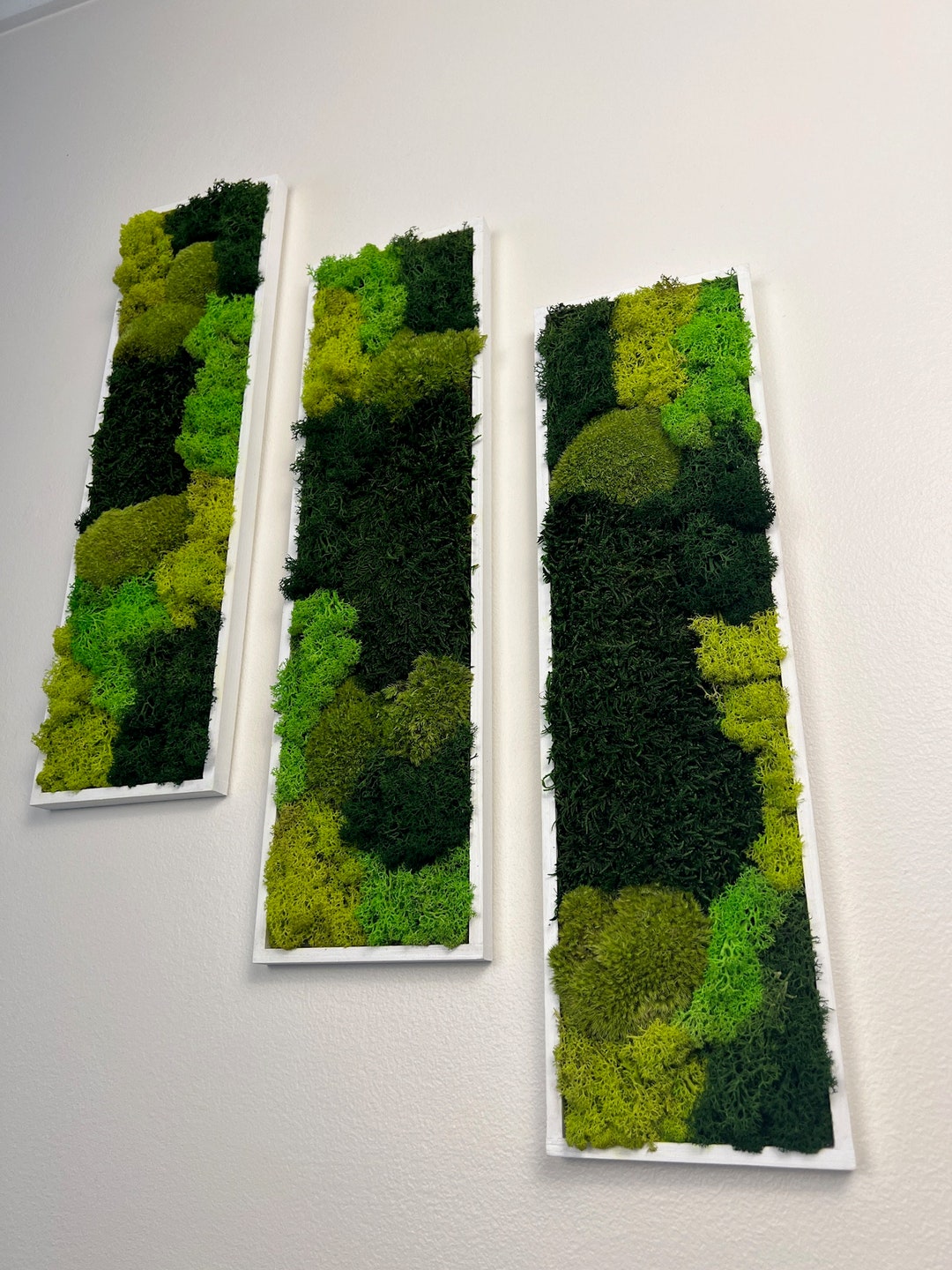 Moss Wall Art | Preserved Moss Art Framed | Moss Wall Decor | Moss Wall ...