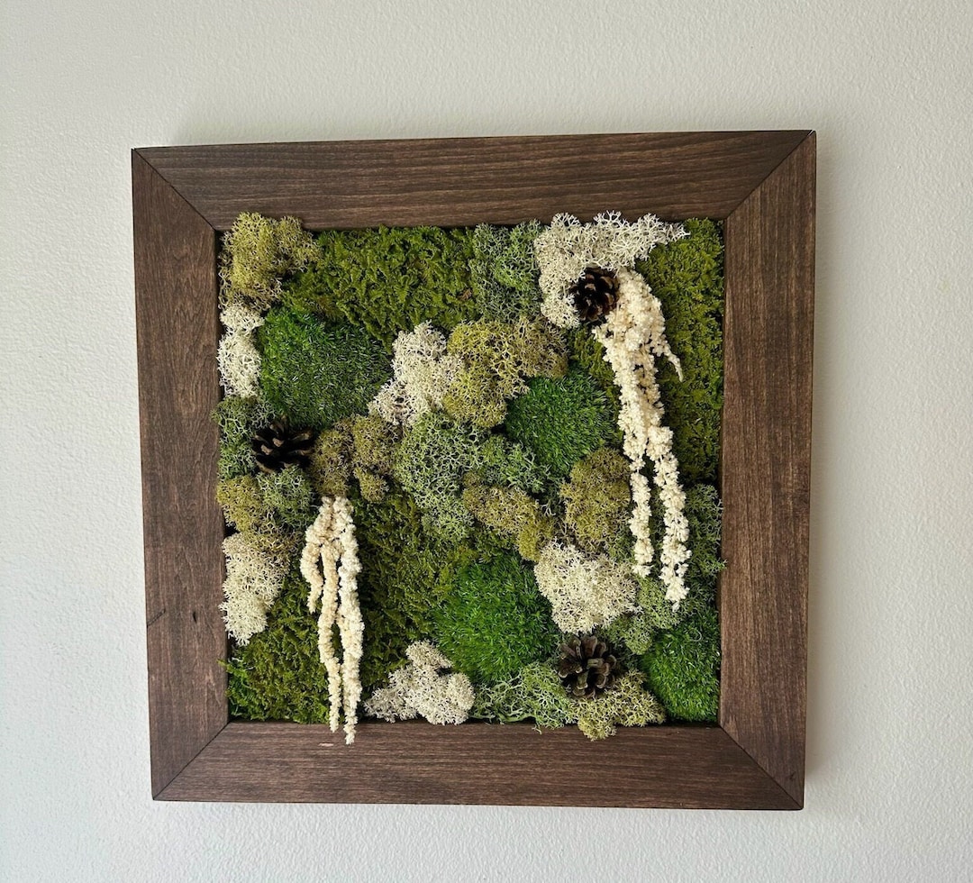 Moss Wall Art Preserved Moss Art Framed Square Frame - Etsy
