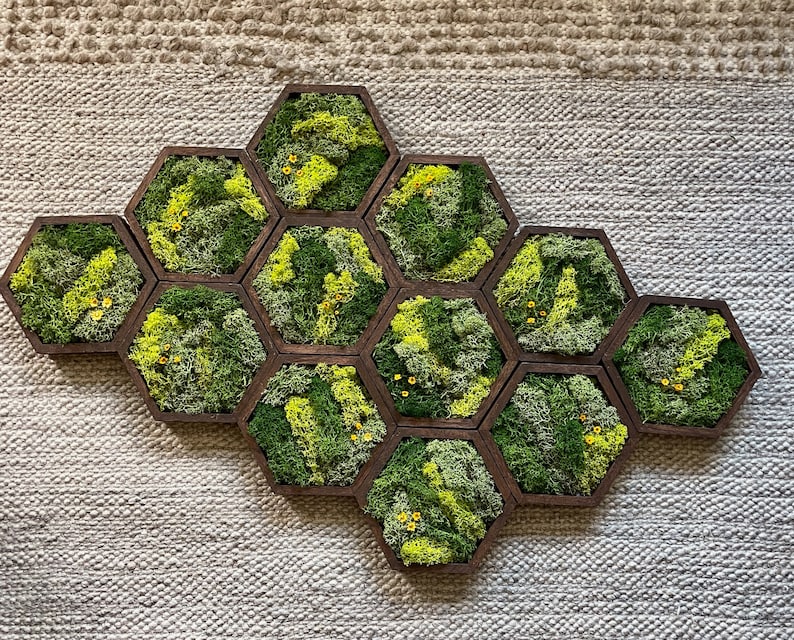 Moss Wall Art Honeycomb | Four Sizes, 5 X 6", 8 X 9", 10 X 11 1/2" or ...
