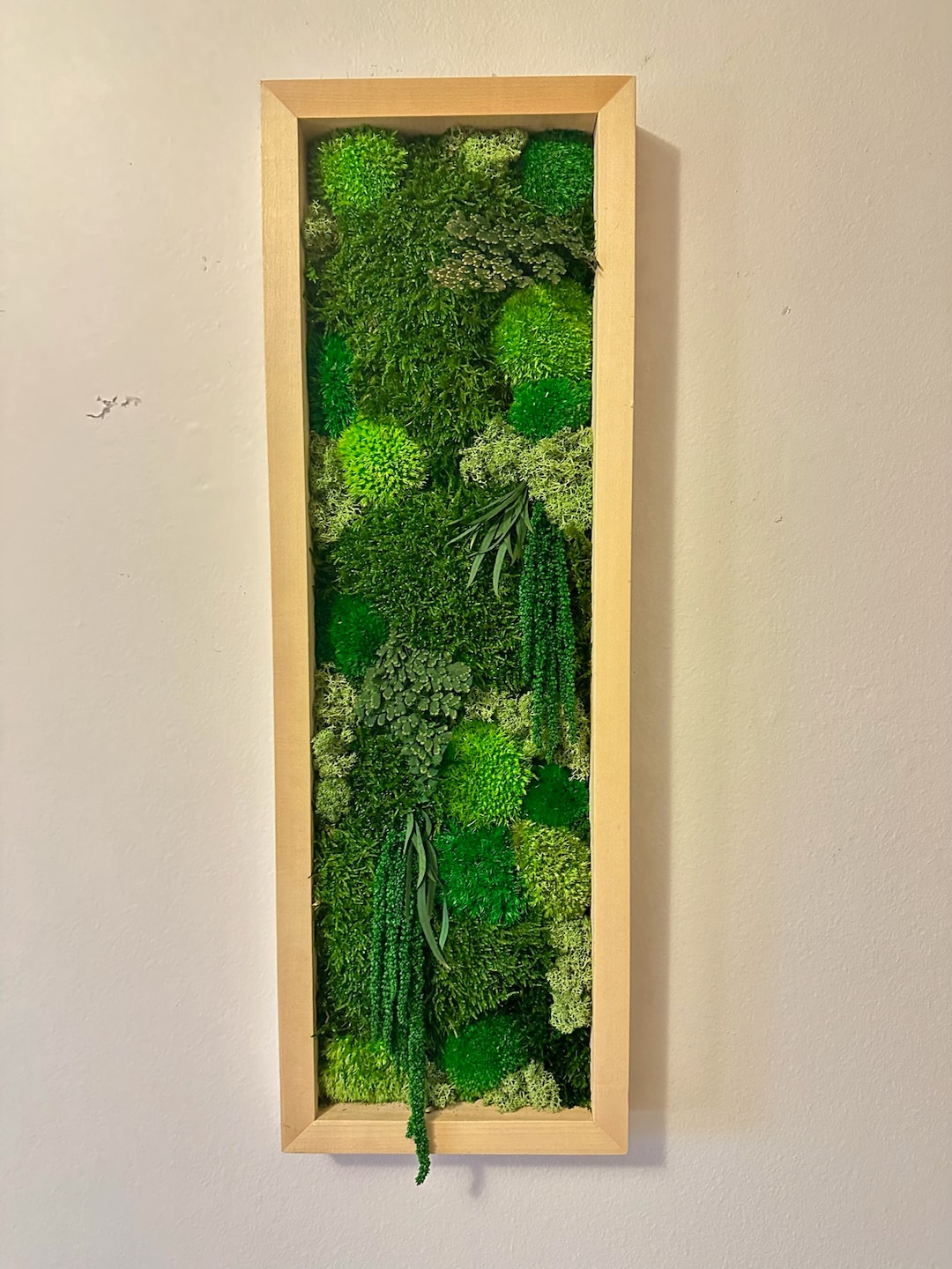Moss Wall Art | Preserved Moss Art Framed | Moss Wall Decor | Moss Wall ...