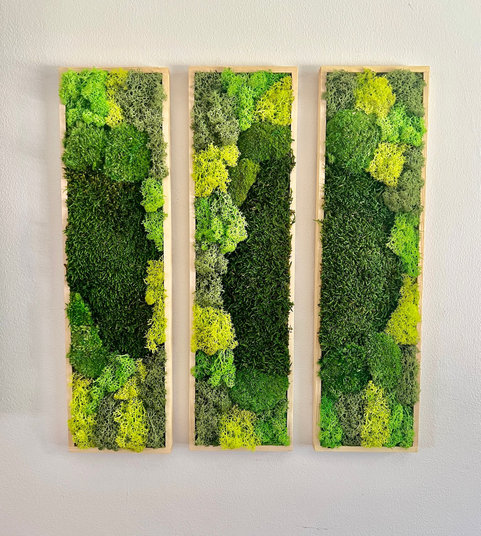 Preserved Reindeer Moss Wall Art: Framed Rectangle Set | USA - TARIFF ...