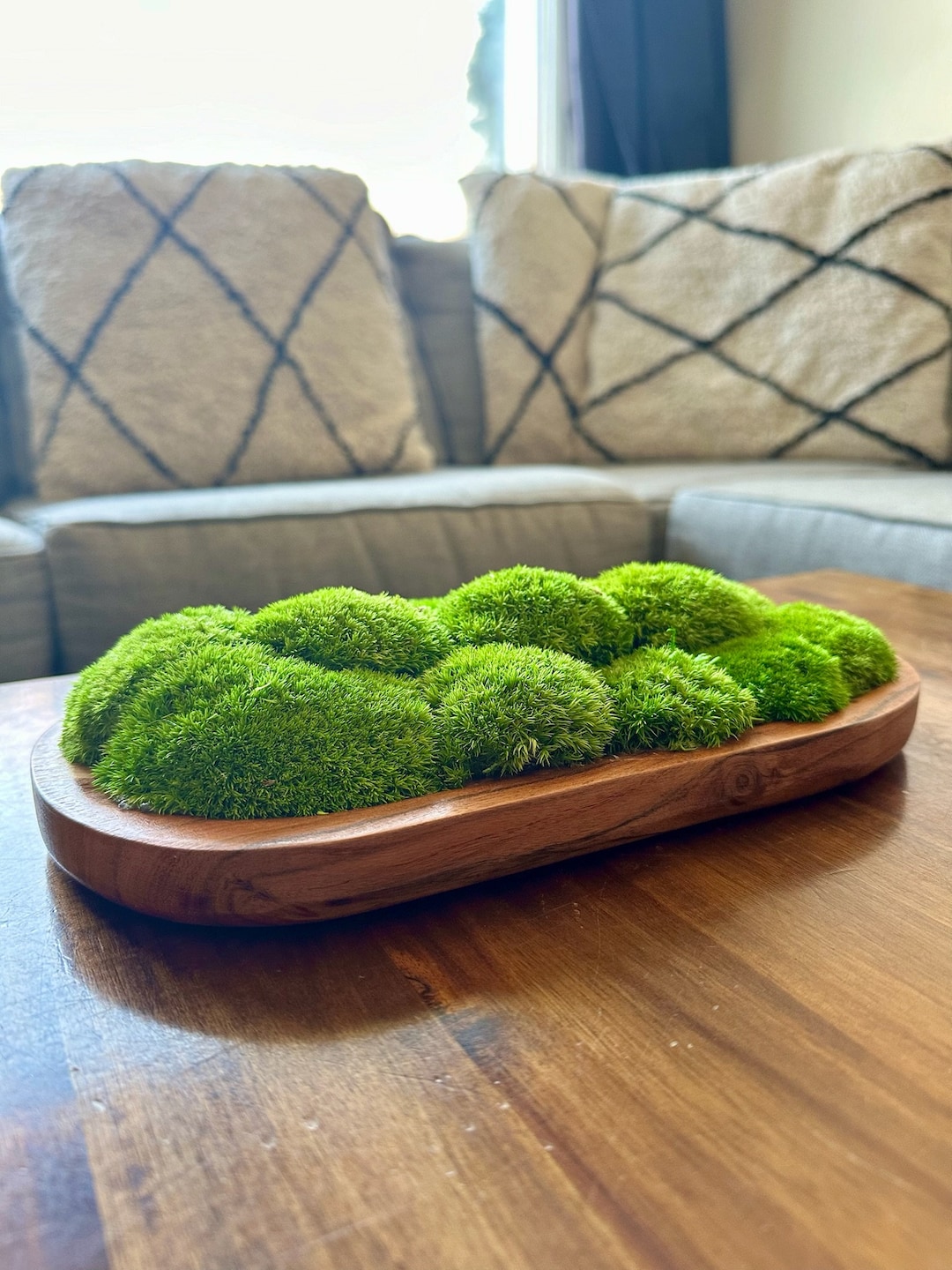 Moss Centerpiece | Pole Moss | Moss Planter | Preserved Moss Gift ...