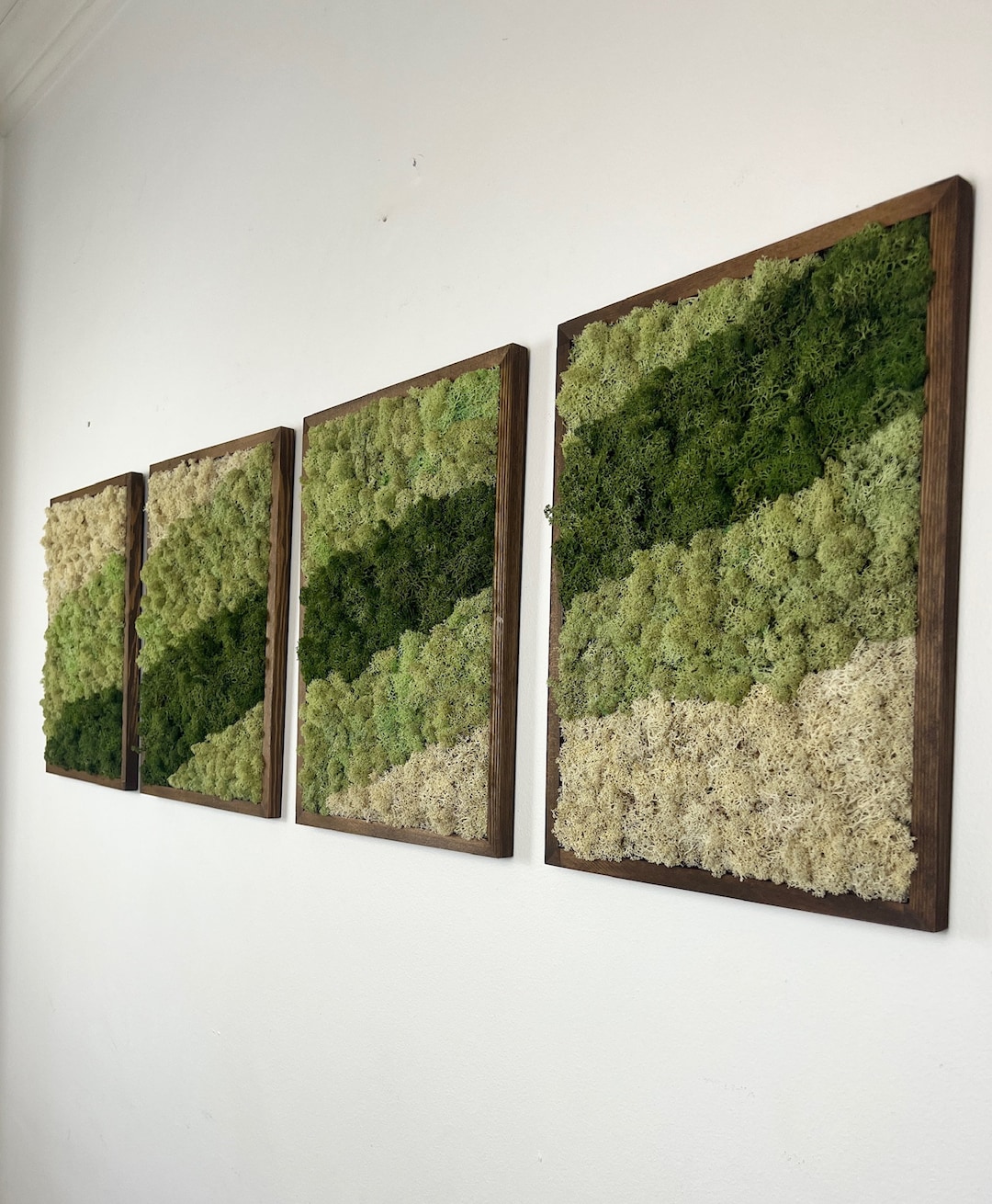 Moss Wall Art Preserved Moss Framed Moss Wall Decor Moss Wall Art Set ...