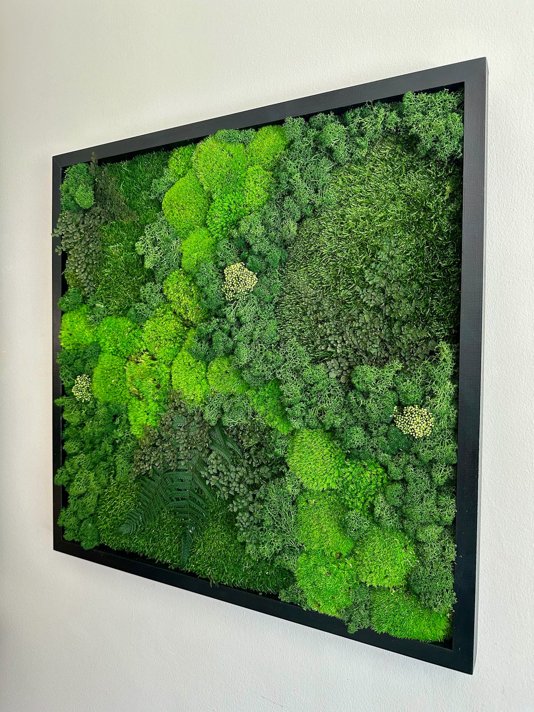 Moss Wall Art | Preserved Moss Art | Moss Wall Decor | Wood Frame Sets ...