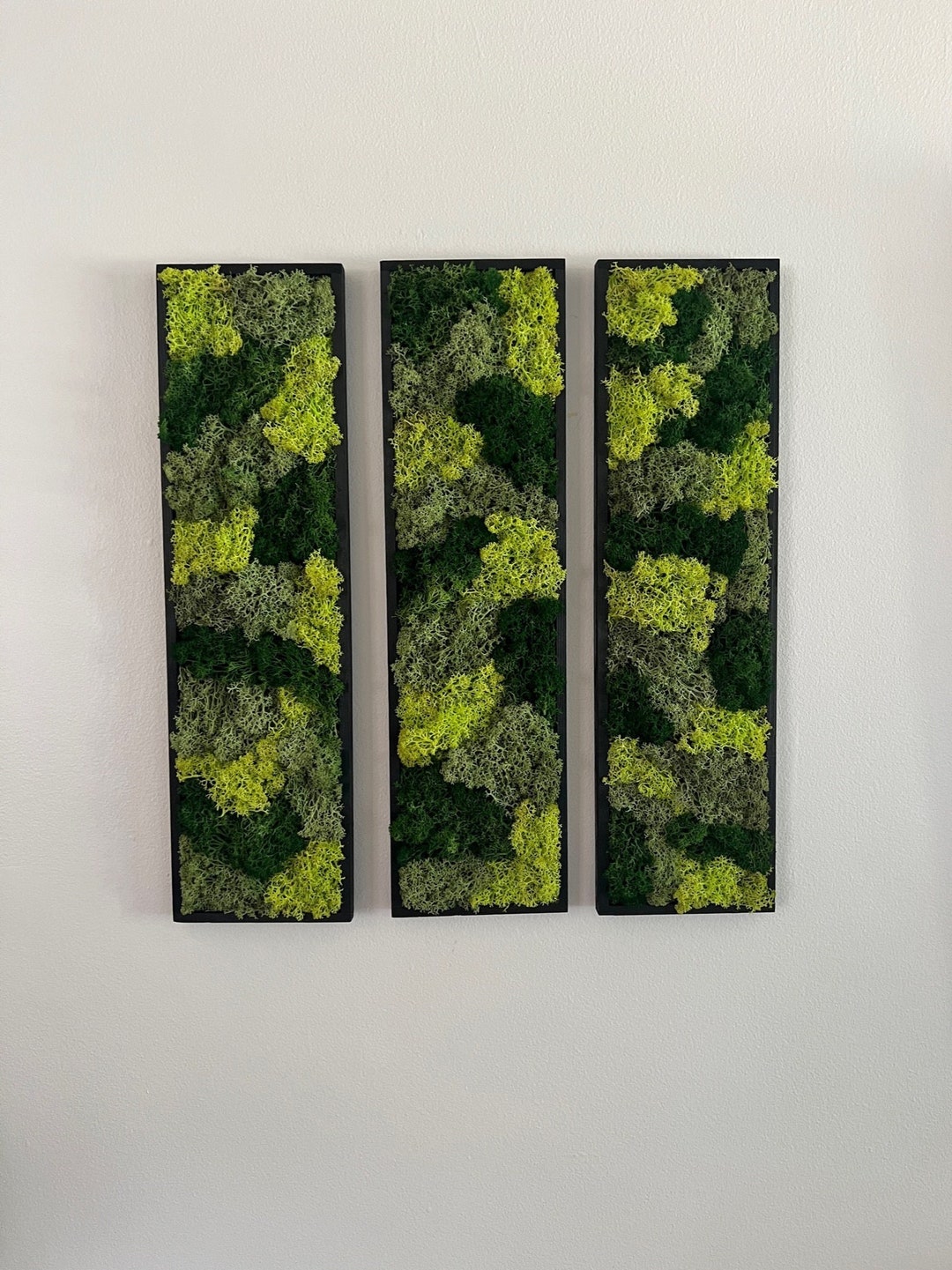 Moss Wall Art | Moss Wall Decor | Preserved Moss Art Framed | Moss Wall ...