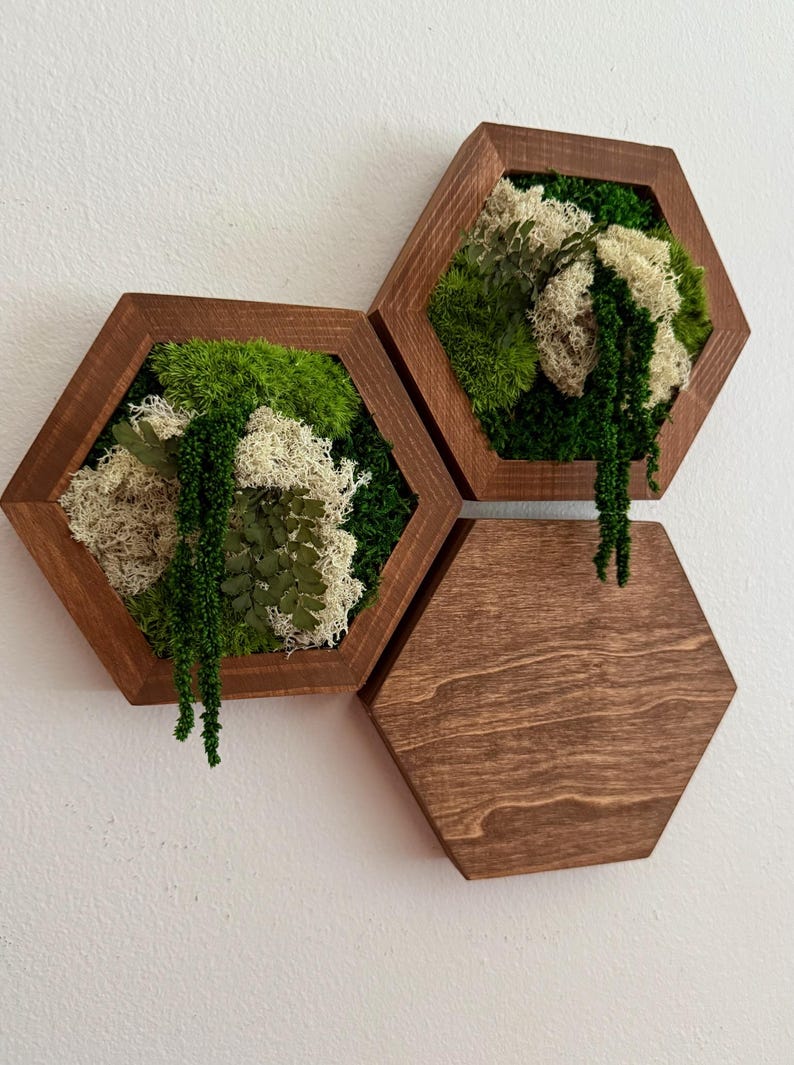 Moss Wall Art Honeycomb | Four Sizes, 5 X 6", 8 X 9", 10 X 11 1/2" or ...