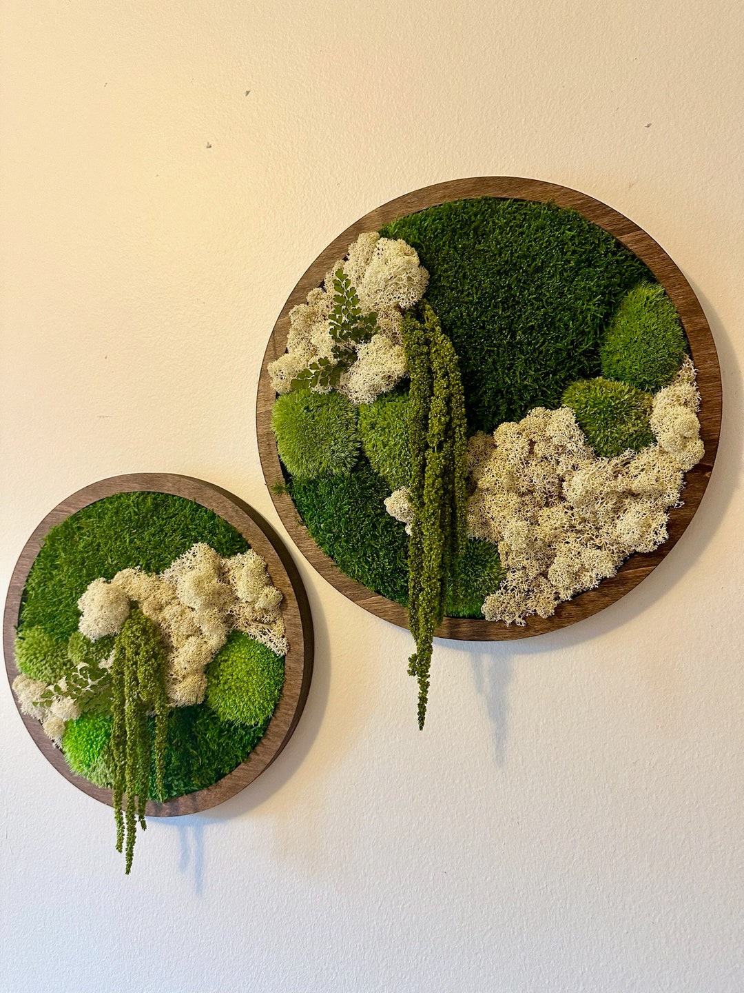 Moss Wall Art Circle Frame Preserved Moss Art Framed Moss Wall Decor ...