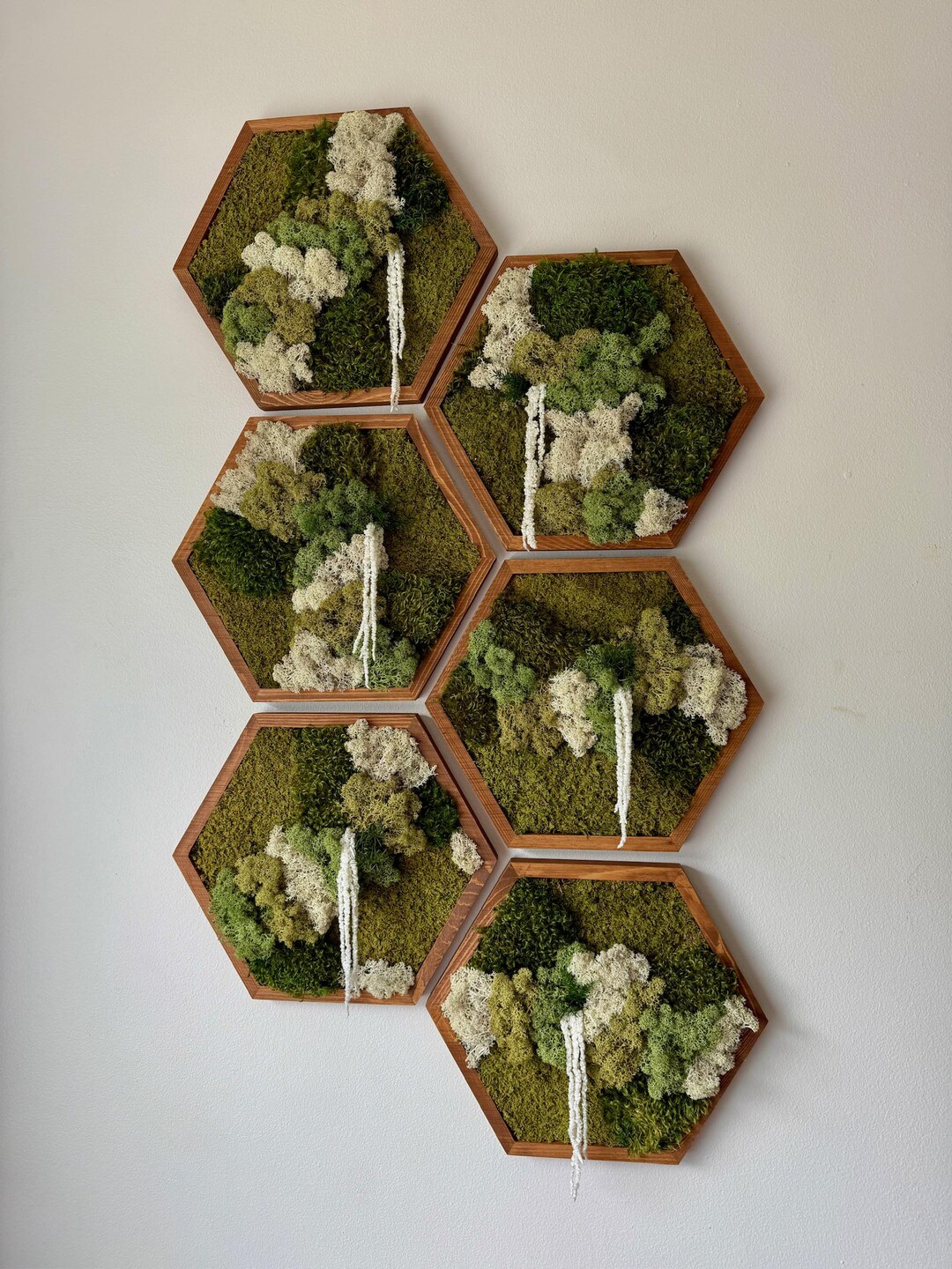 Moos Wandkunst Bienenwabe | Vier Größen, 5 x 6 Zoll, 8 x 9 Zoll, 10 x ...