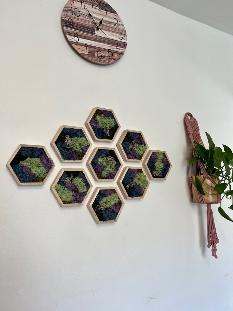 Moss Wall Art Honeycomb | Four Sizes, 5 X 6", 8 X 9", 10 X 11 1/2" or ...