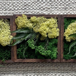Moss Wall Art | Preserved Moss Art Framed | Square Wood Shadowbox | Set ...