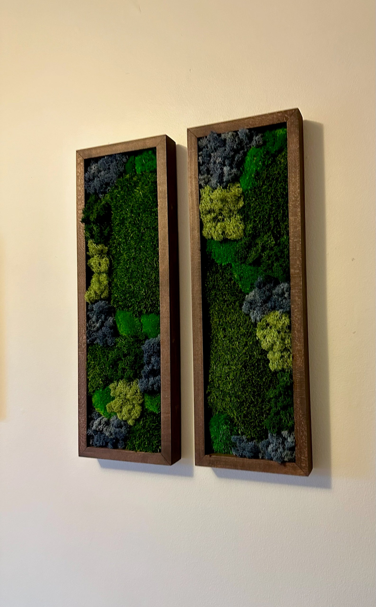 Moss Wall Art Preserved Moss Art Framed Moss Wall Decor Moss Wall Sets ...