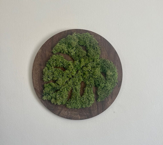 Moss Wall Art Monstera Plant Round Wood Frame Green | Etsy