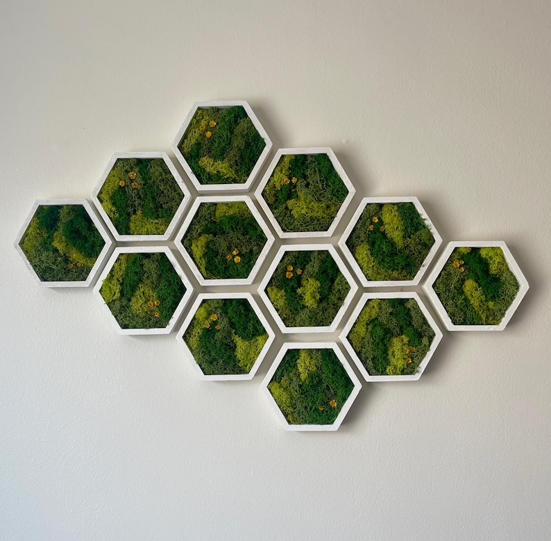 Moss Wall Art Honeycomb | Four Sizes, 5 X 6", 8 X 9", 10 X 11 1/2" or ...