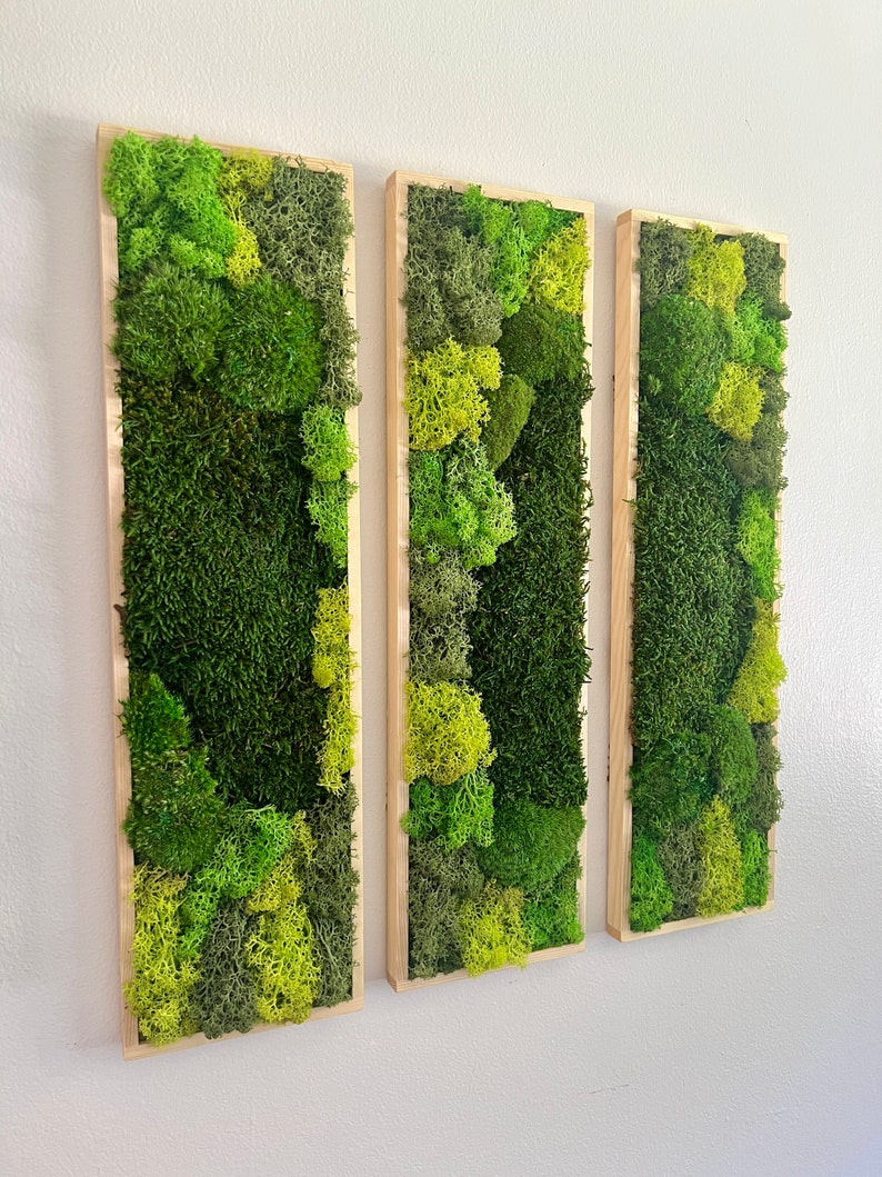 Preserved Reindeer Moss Wall Art: Framed Rectangle Set | USA - TARIFF ...