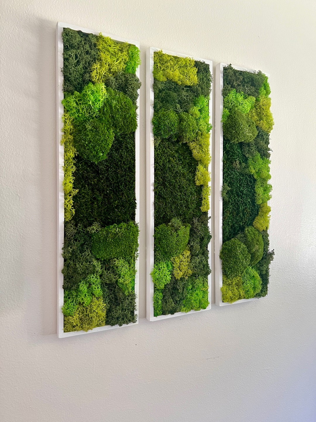 Moss Wall Art | Preserved Moss Art Framed | Moss Wall Decor | Moss Wall ...