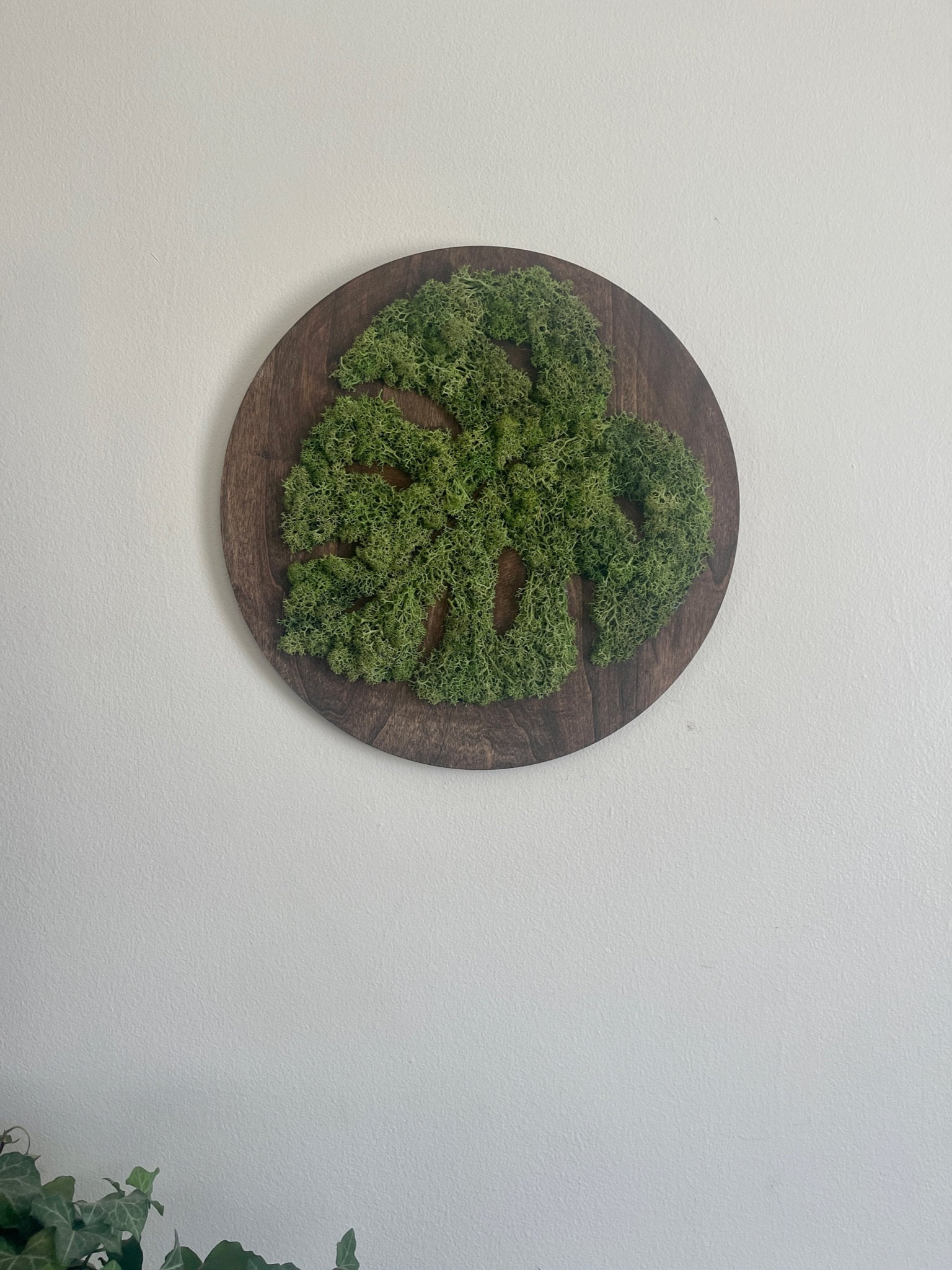 Moss Wall Art Monstera Plant Round Wood Frame Green | Etsy Canada