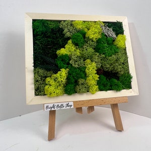 DIY Kit | Moss Wall Art | Nature Lover Gift | Preserved Moss Decor ...
