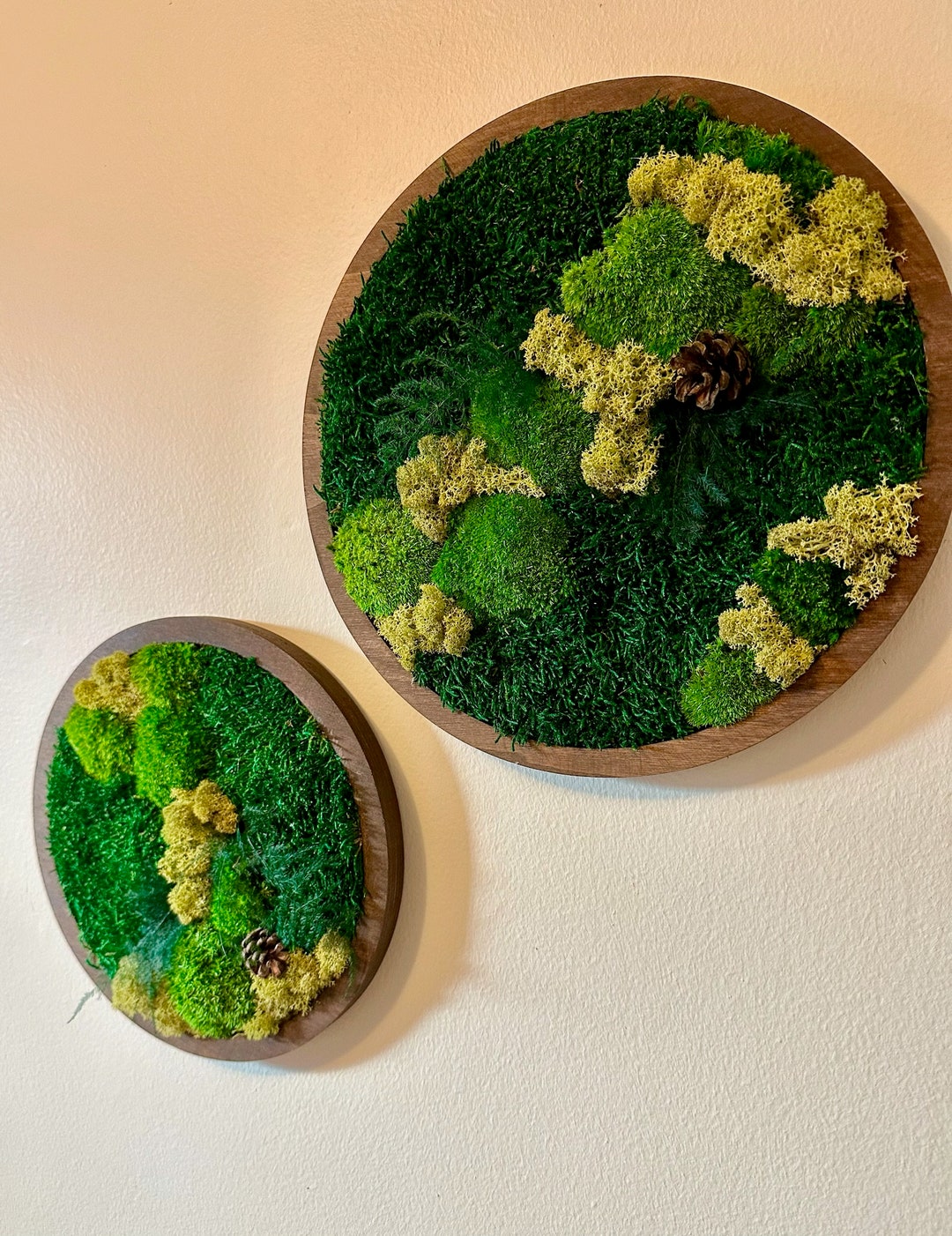 Moss Wall Art Circle Frame Preserved Moss Art Framed Moss Wall Decor ...