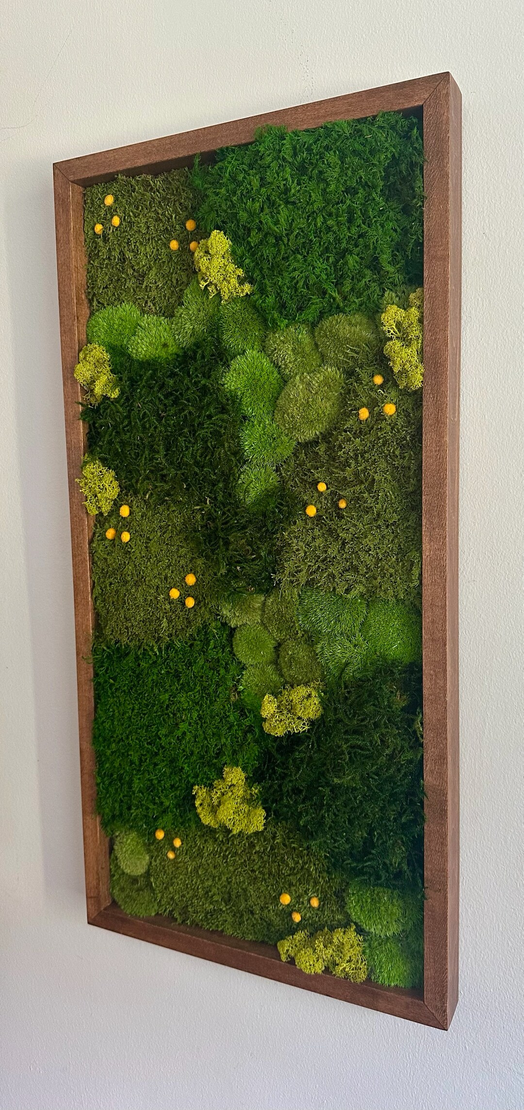 Moss Wall Art | Preserved Moss Art | Moss Wall Decor | Wood Frame Sets ...