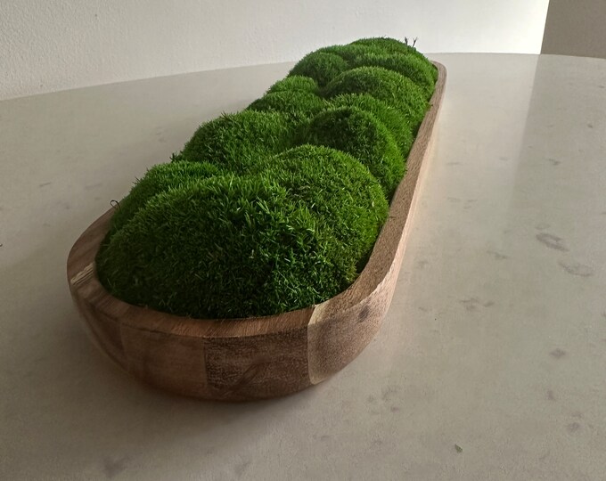 Moss Centerpiece | Pole Moss | Moss Planter | Preserved Moss Gift ...