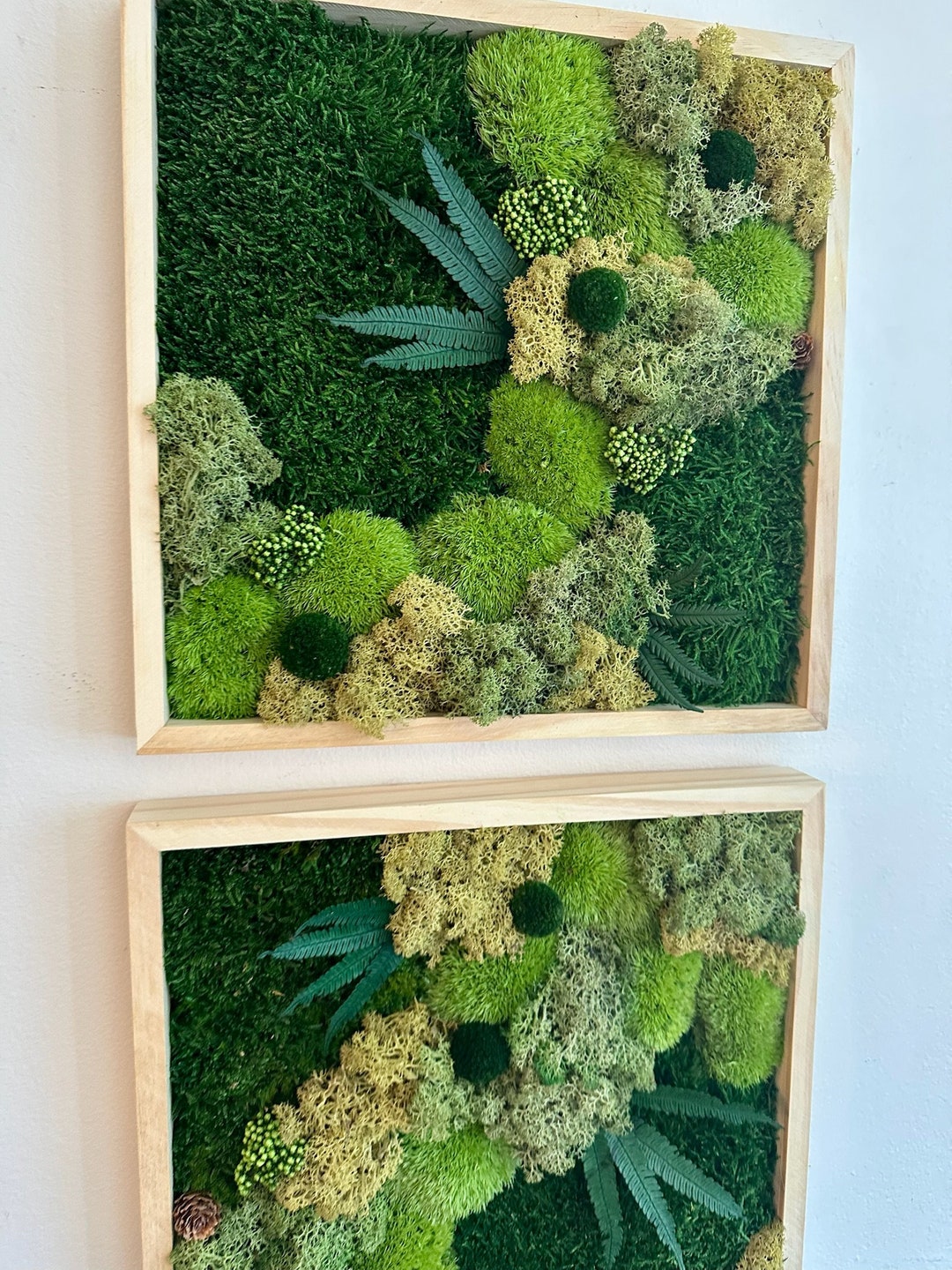 Moss Wall Art | Preserved Moss Framed | Moss Wall Decor | Square Frame ...