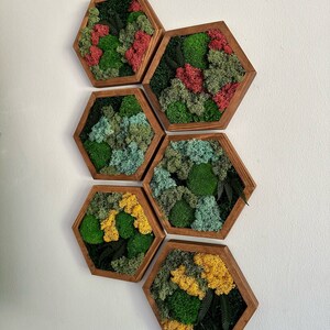 Moss Wall Art Decor | Handmade Wood Hexagon | Single Set to Six (9”x 8 ...