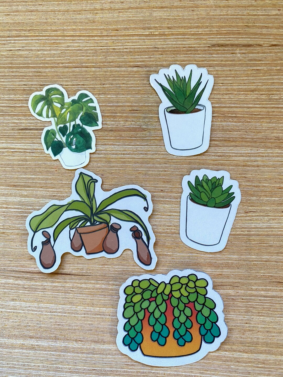 Waterproof Sticker Pack-plants - Etsy