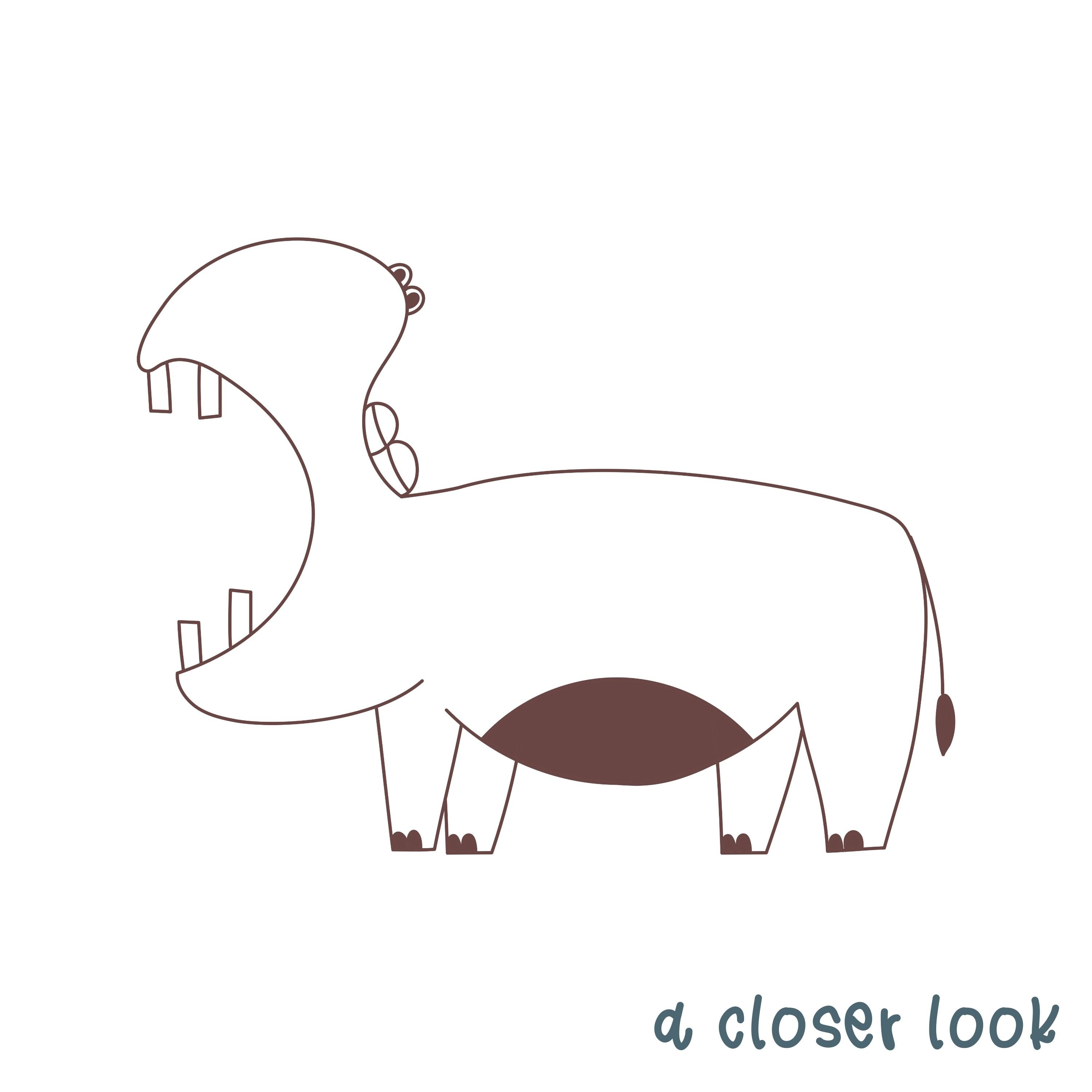 50 Cute Animal Doodle PNG SVG Clip Art. High Resolution Plant Sketch ...