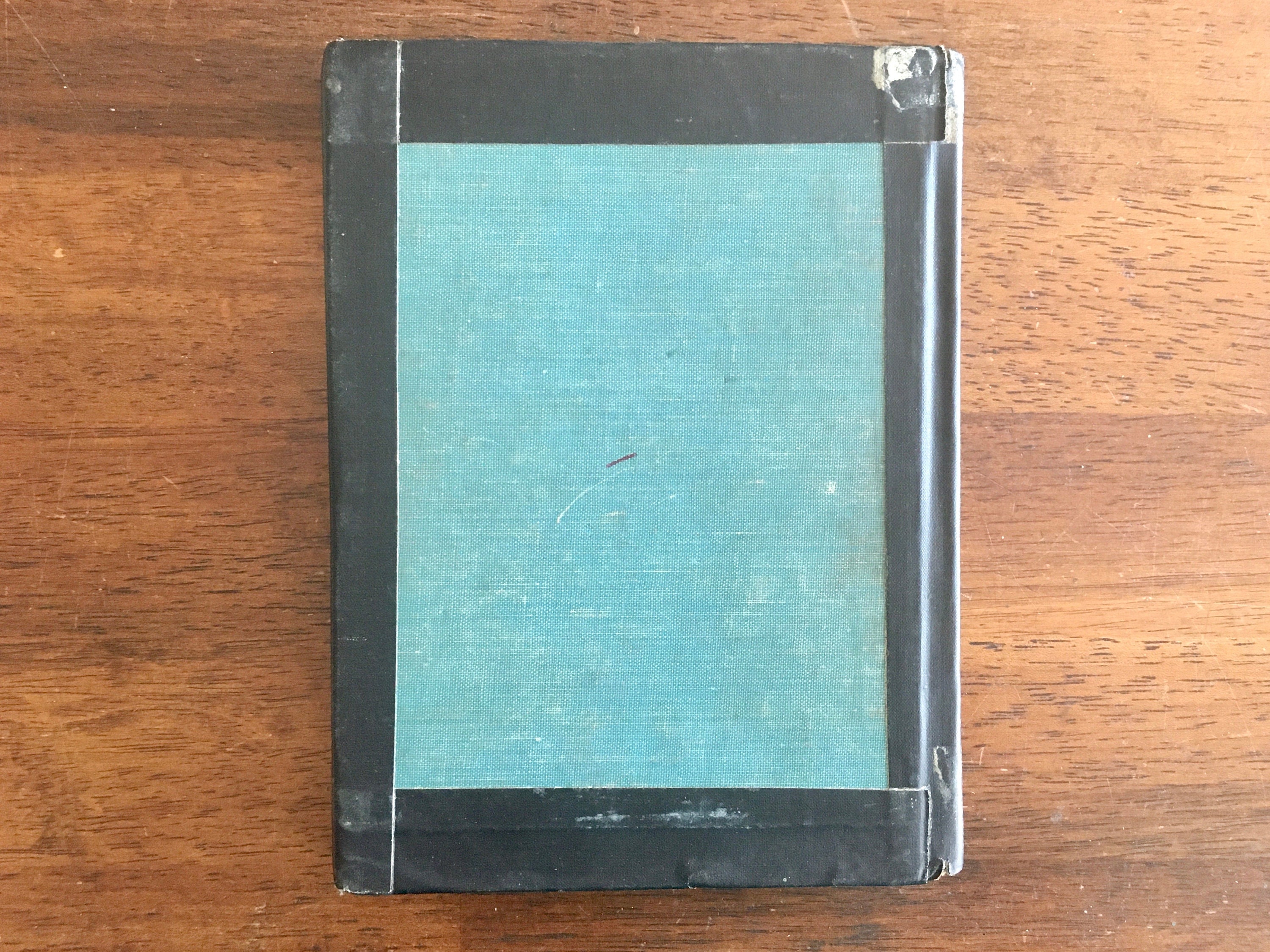 1954 Will and Charlie Mayo: Doctor's Boys by Marie Hammontree ...